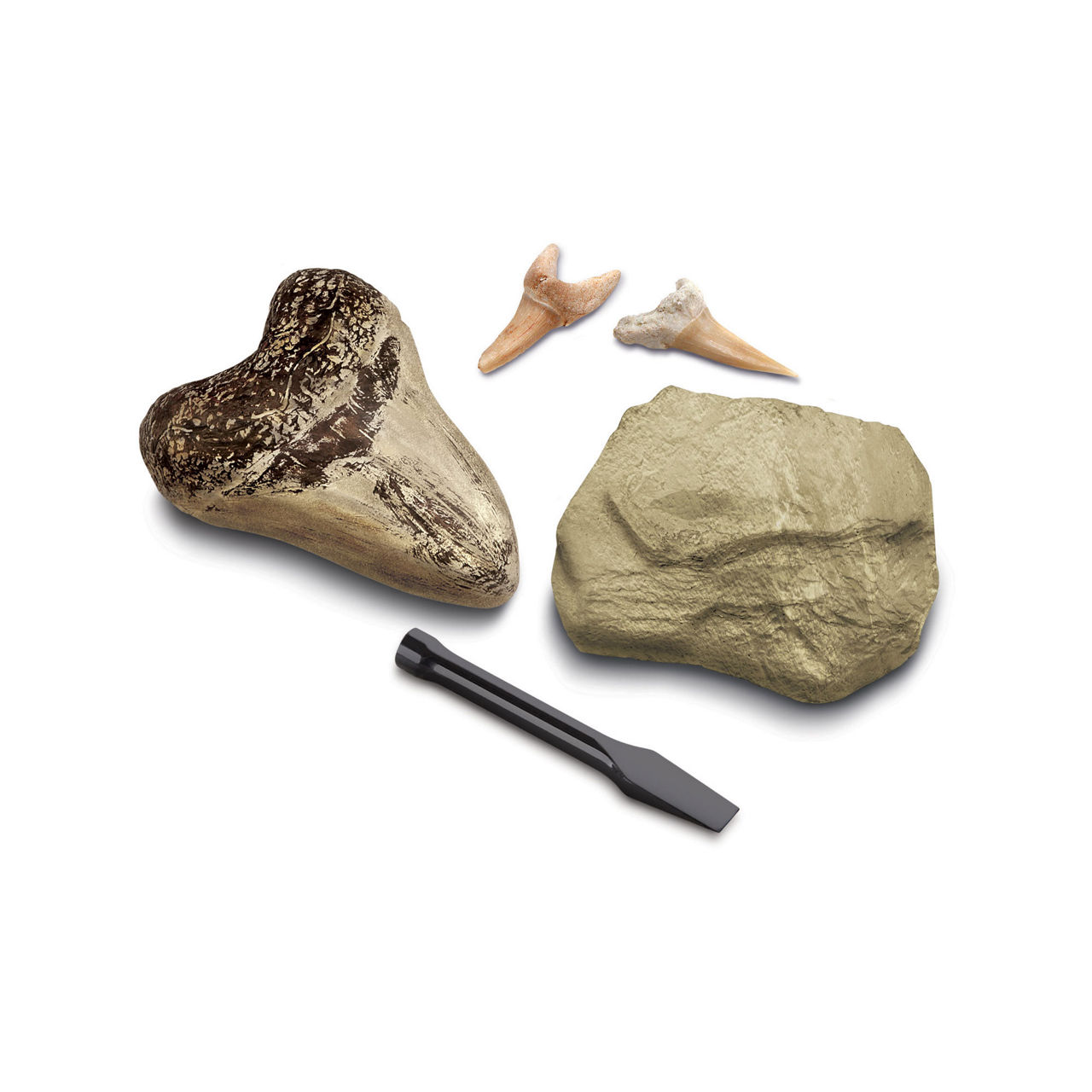 Excavation Kit Mini Shark Tooth