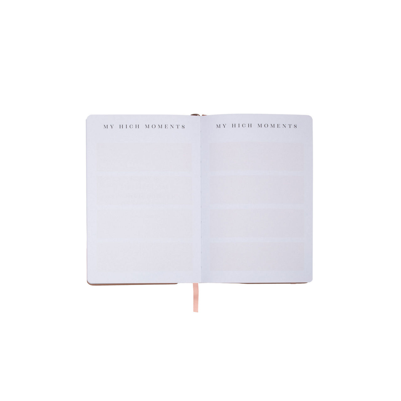 THE HEAD PLAN The Head Plan Journal