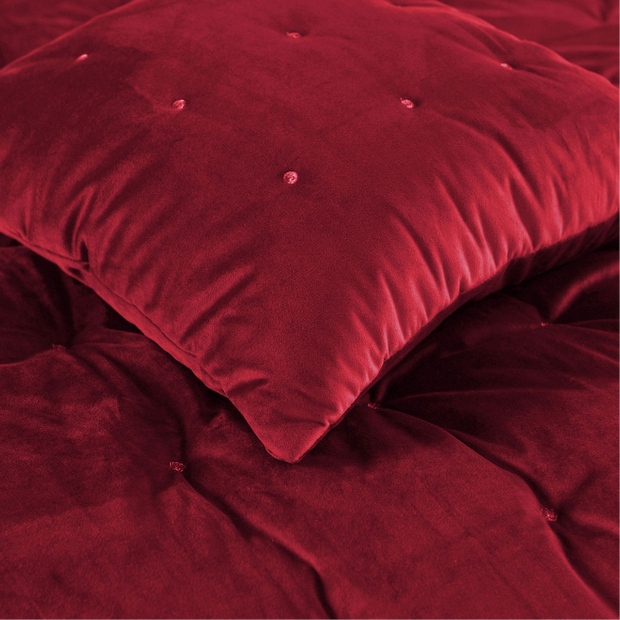 Velvet Dot Throw Berry