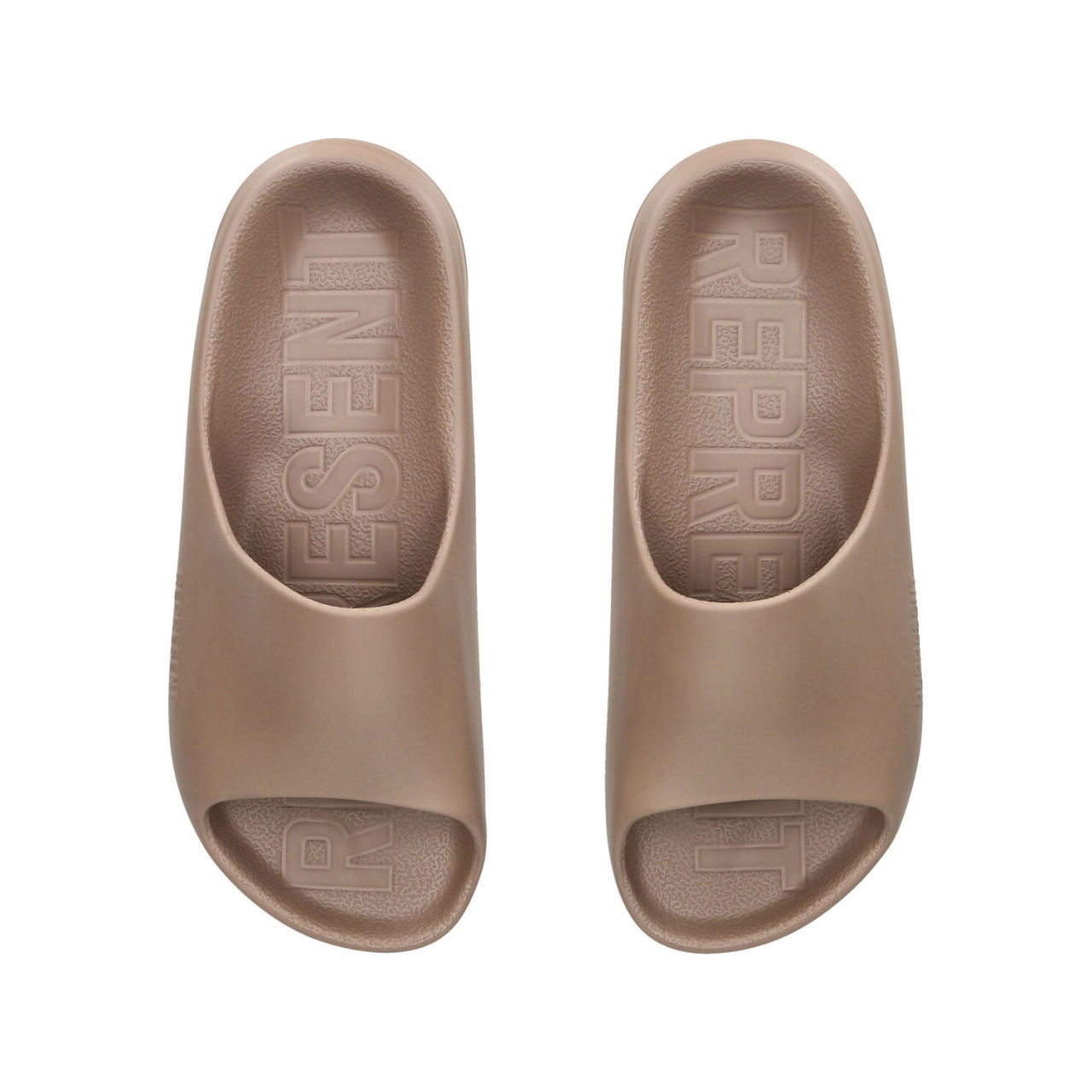 REPRESENT Eva Slides