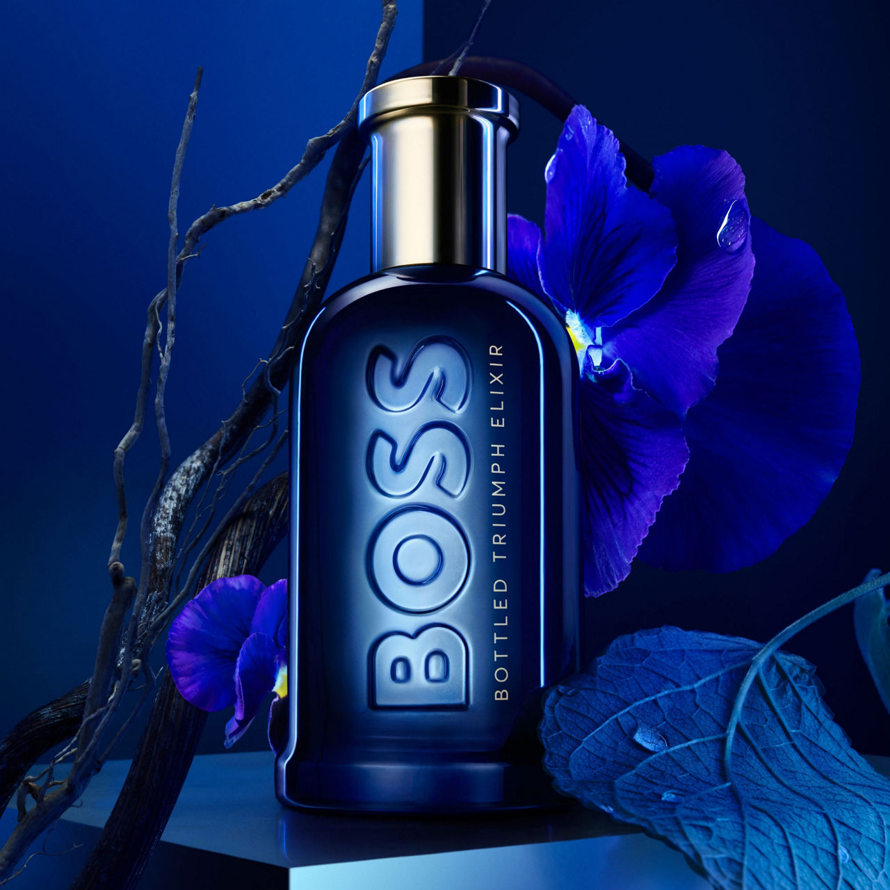 HUGO BOSS BOSS Bottled Triumph Elixir for Men
