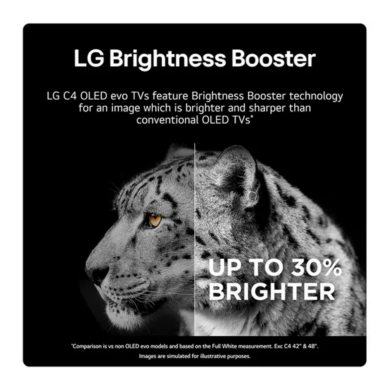 LG 48 Inch C4 4K OLED Smart TV