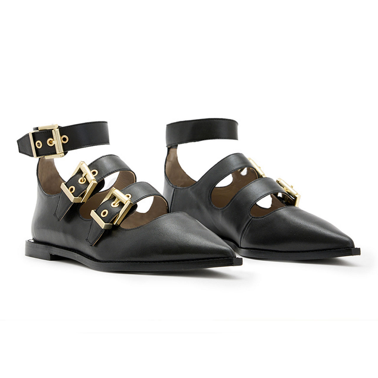 Susan Buckle Pointed Toe Flats